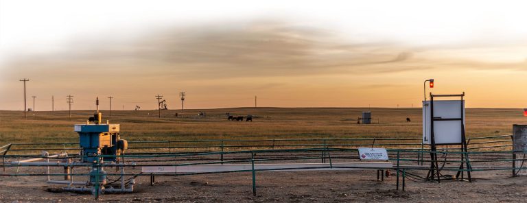 Midale, SK – Cardinal Energy Ltd.